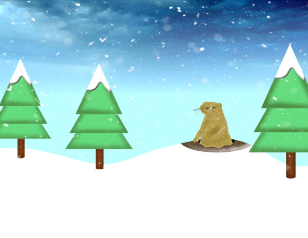 A Sick Groundhog - Storyland Canada