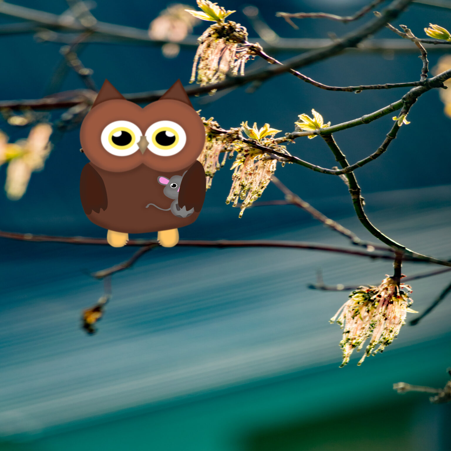 A Friendly Butterfly - Storyland Canada